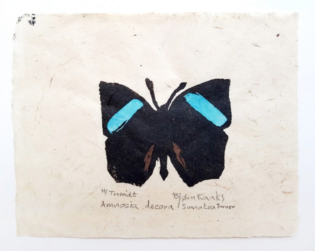 Bjørn Kaaks - Amnosia decora | Galleri Seilet